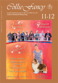 一般社団法人 日本コリークラブ