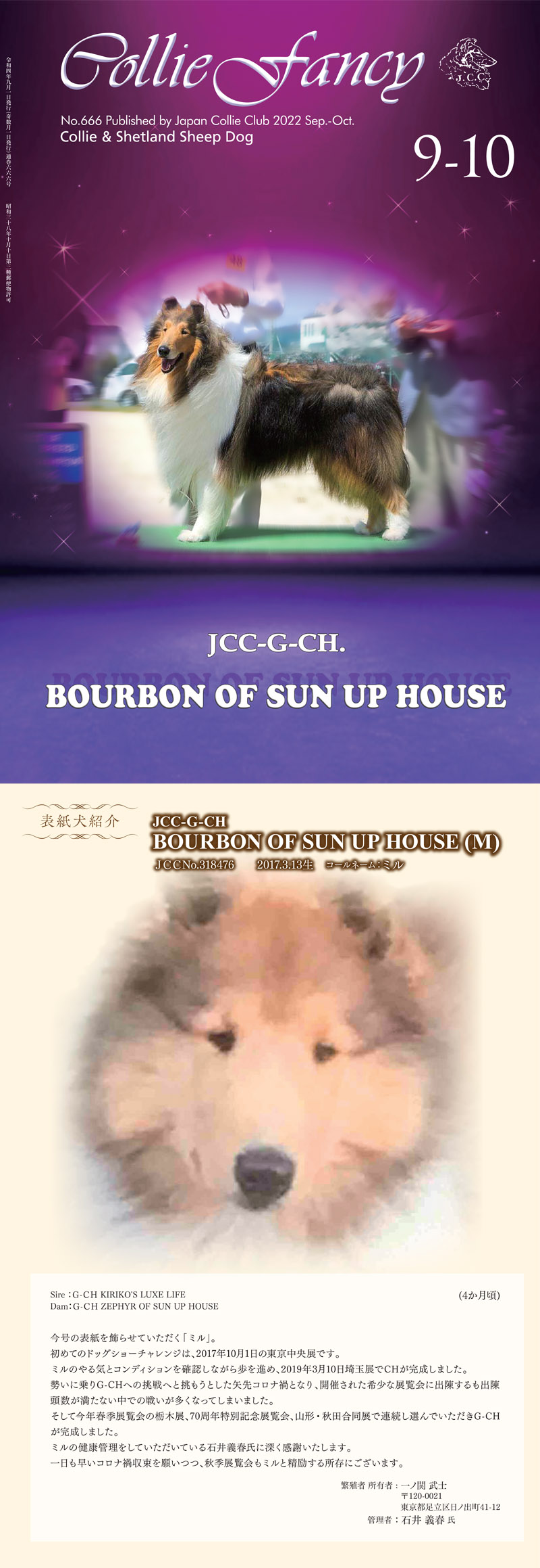 一般社団法人 日本コリークラブ