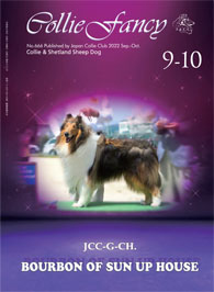 一般社団法人 日本コリークラブ