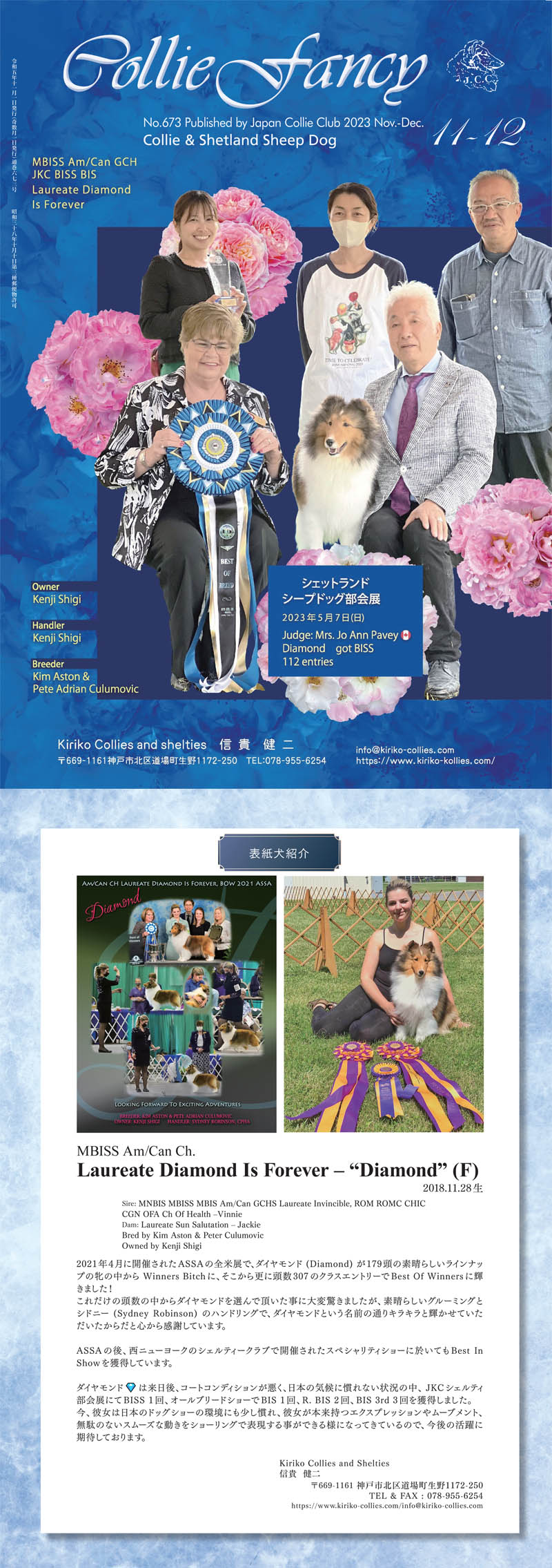 一般社団法人 日本コリークラブ