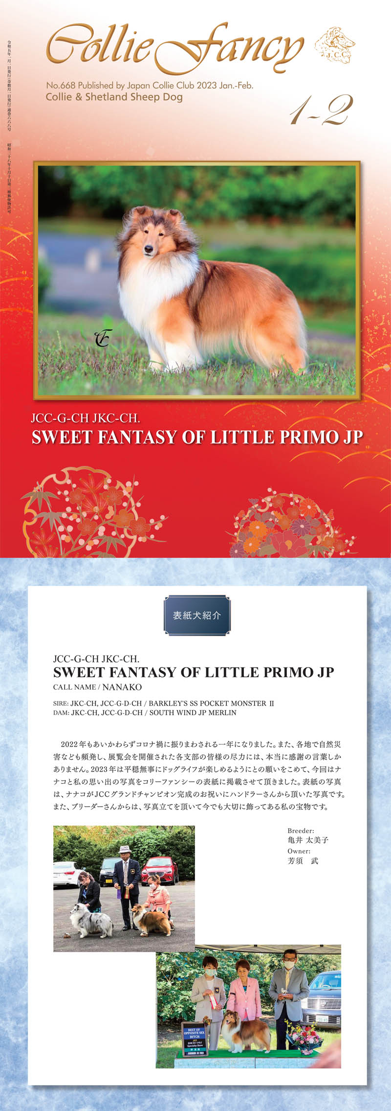 一般社団法人 日本コリークラブ