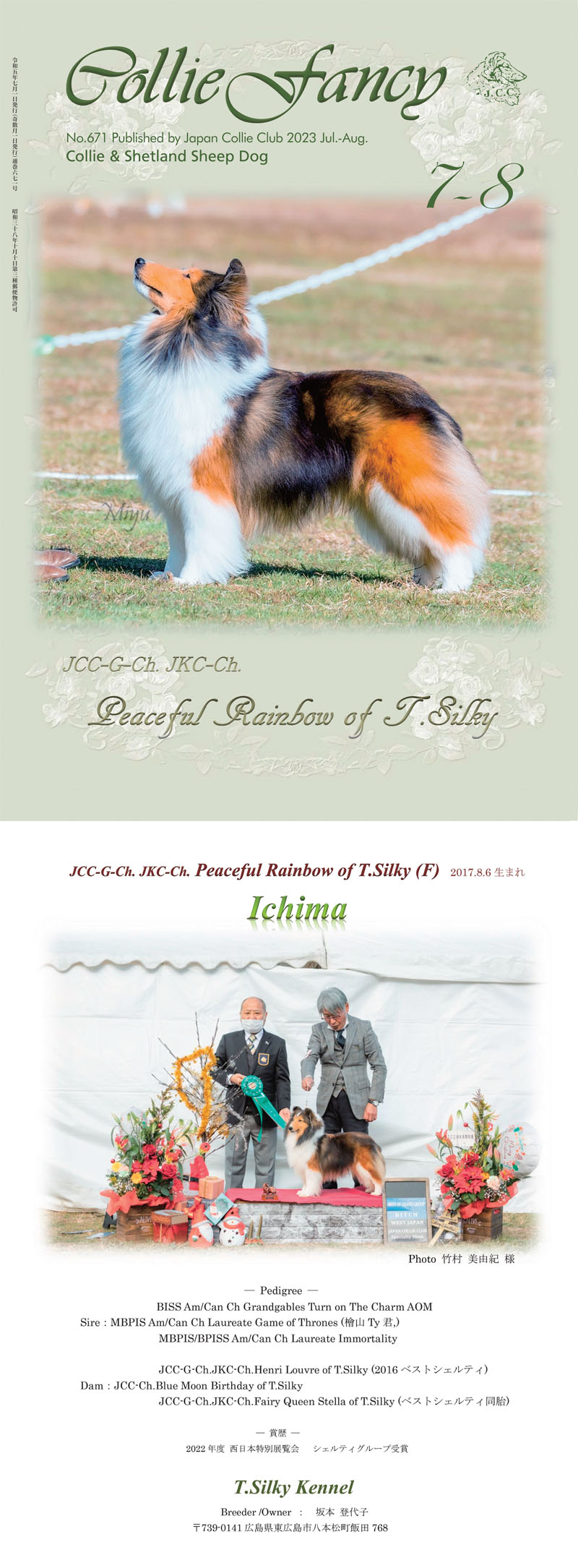 一般社団法人 日本コリークラブ