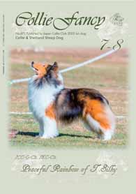 一般社団法人 日本コリークラブ