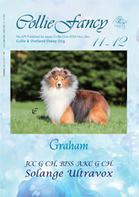 一般社団法人 日本コリークラブ