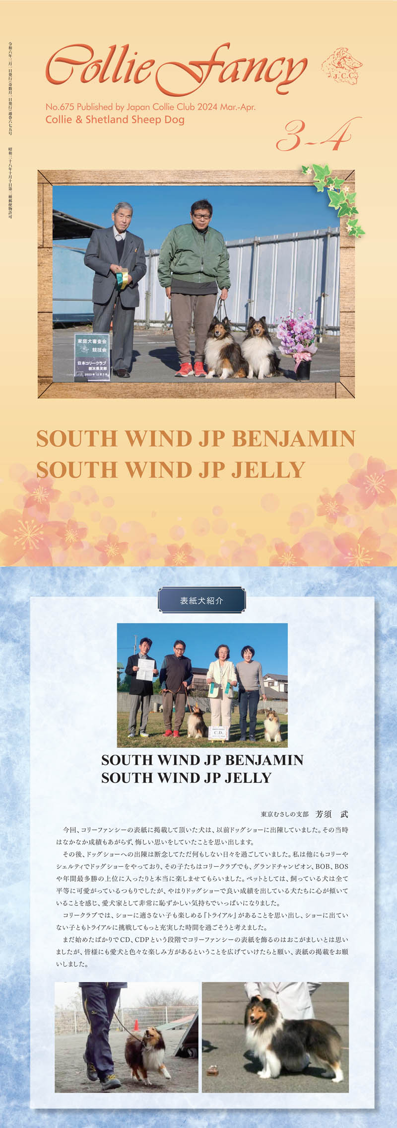 一般社団法人 日本コリークラブ