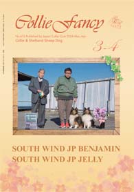 一般社団法人 日本コリークラブ