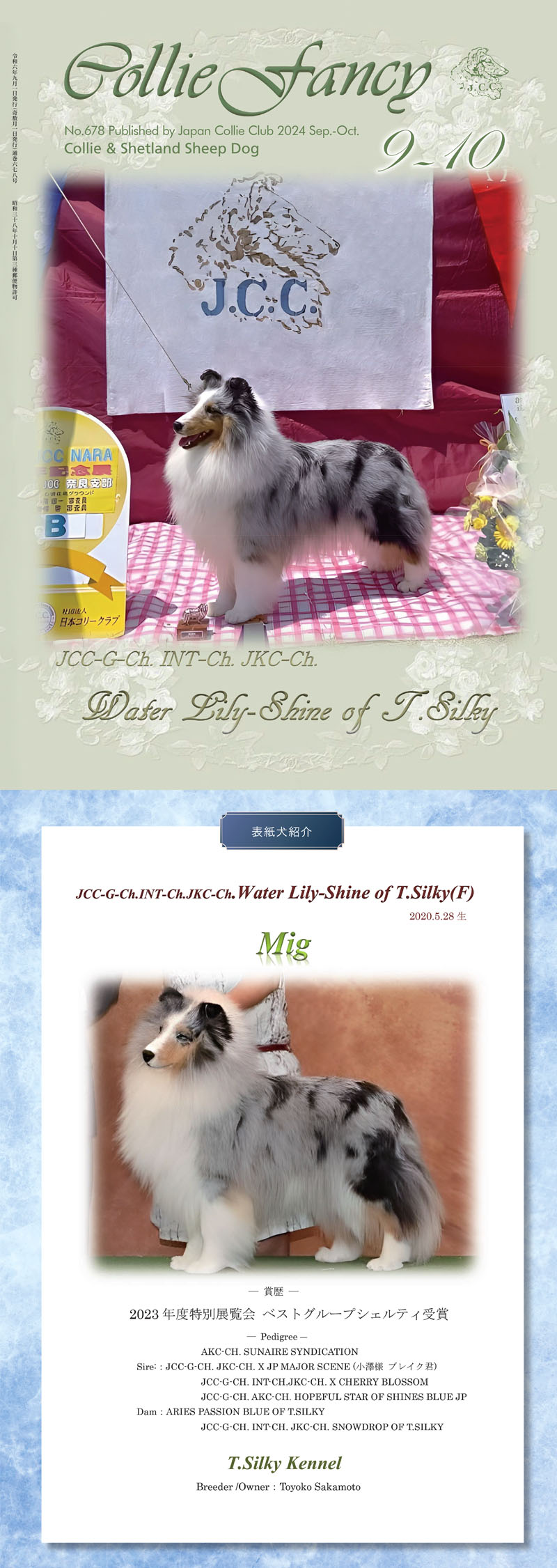 一般社団法人 日本コリークラブ