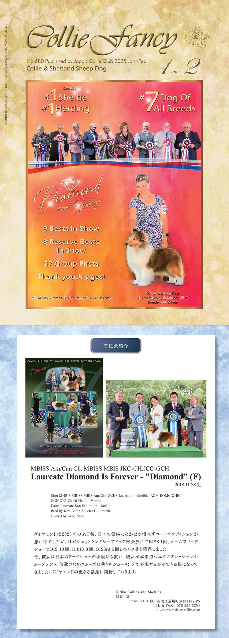 一般社団法人 日本コリークラブ