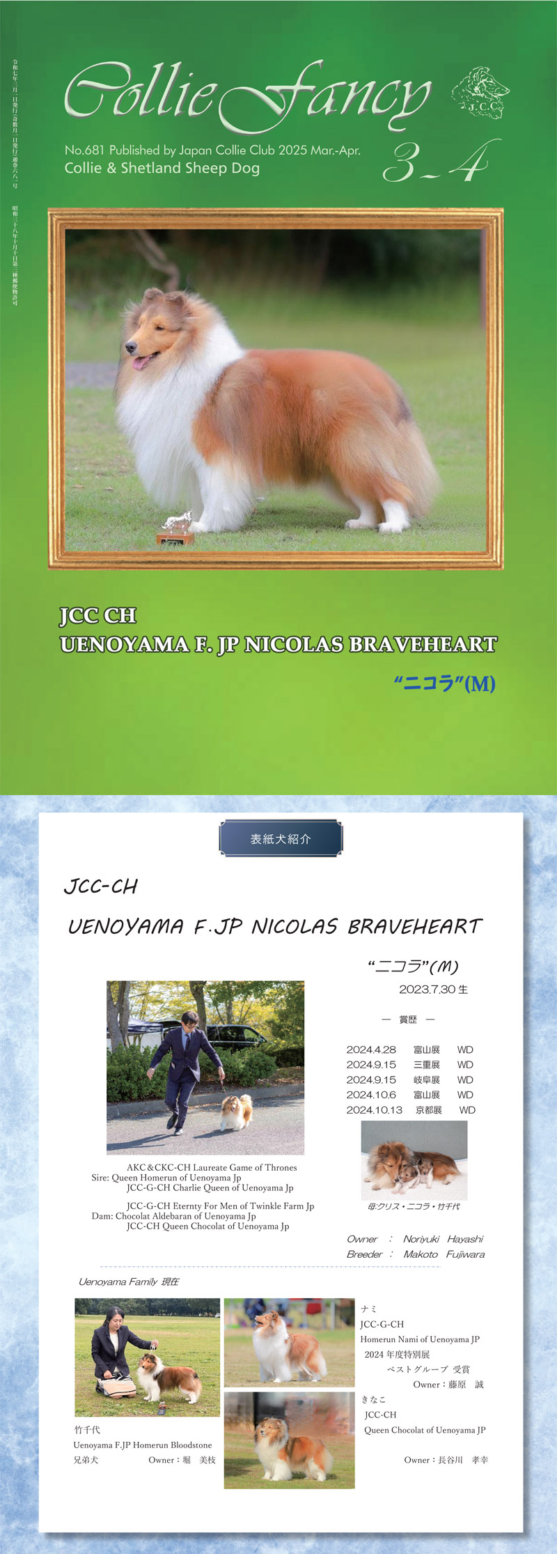 一般社団法人 日本コリークラブ